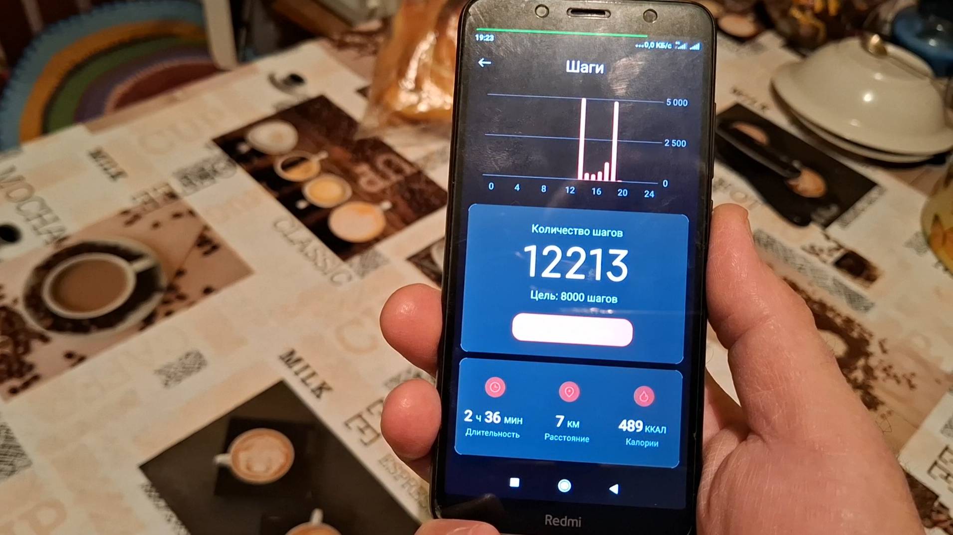 12 213 шагов. Опять на дачу... побелка деревьев!