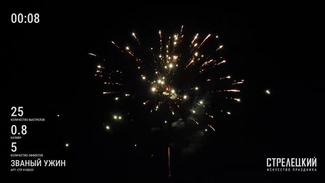 Фейерверк 25 залпов «Званый Ужин» Стрелецкий СТР 0108025