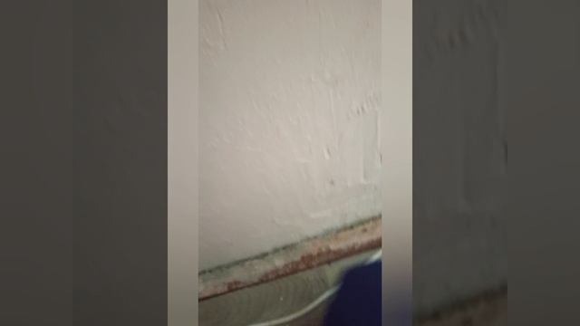 СКУЛБОЙ СБЕЖАЛ ПО КРЫШЕ В РЕАЛЬНОЙ ЖИЗНИ!(6 КОНЦОВКА)