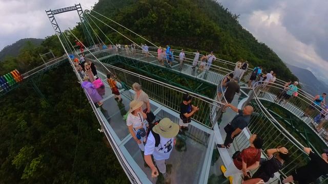 Стеклянный мост. Тропический лес Янода