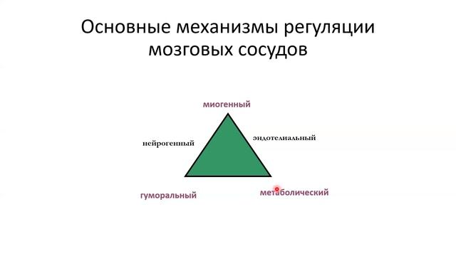 Клиническая физиология в нейро-ОРИТ Ошоров А.В. 2024