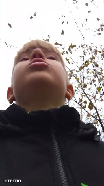 цирк 6 серия и всё