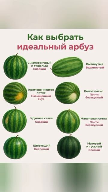 Как правильно выбрать арбуз 🍉 #katyboro #shortvideo #shorts #еда #питание #арбуз #здоровье