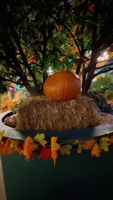 Добрый вечер, Москва! 
Звучит авторская песня Богини Светы