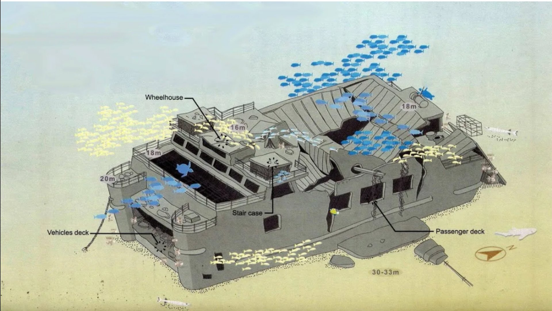 King Cruiser/ Кинг Круизер wreck, дайвинг в Таиланде, дайвинг на Пхукете,vehicles desk,2023