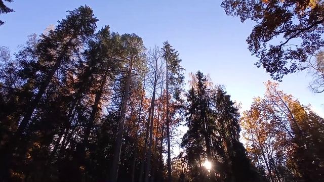 ОСЕНЬ В ОРАНИЕНБАУМЕ