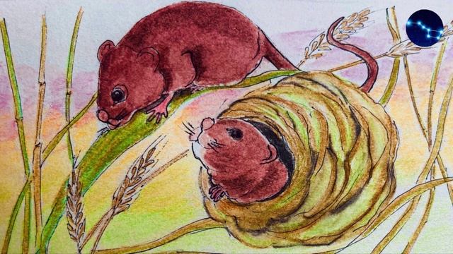 Кто где живет?  / Или где спрятал свой домик Зимородок? / В. Бианки