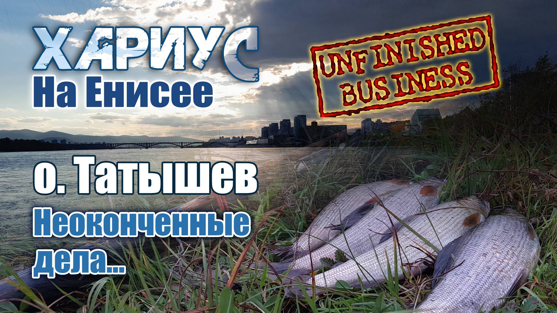 Хариус на Енисее. Остров Татышев. Неоконченные дела.