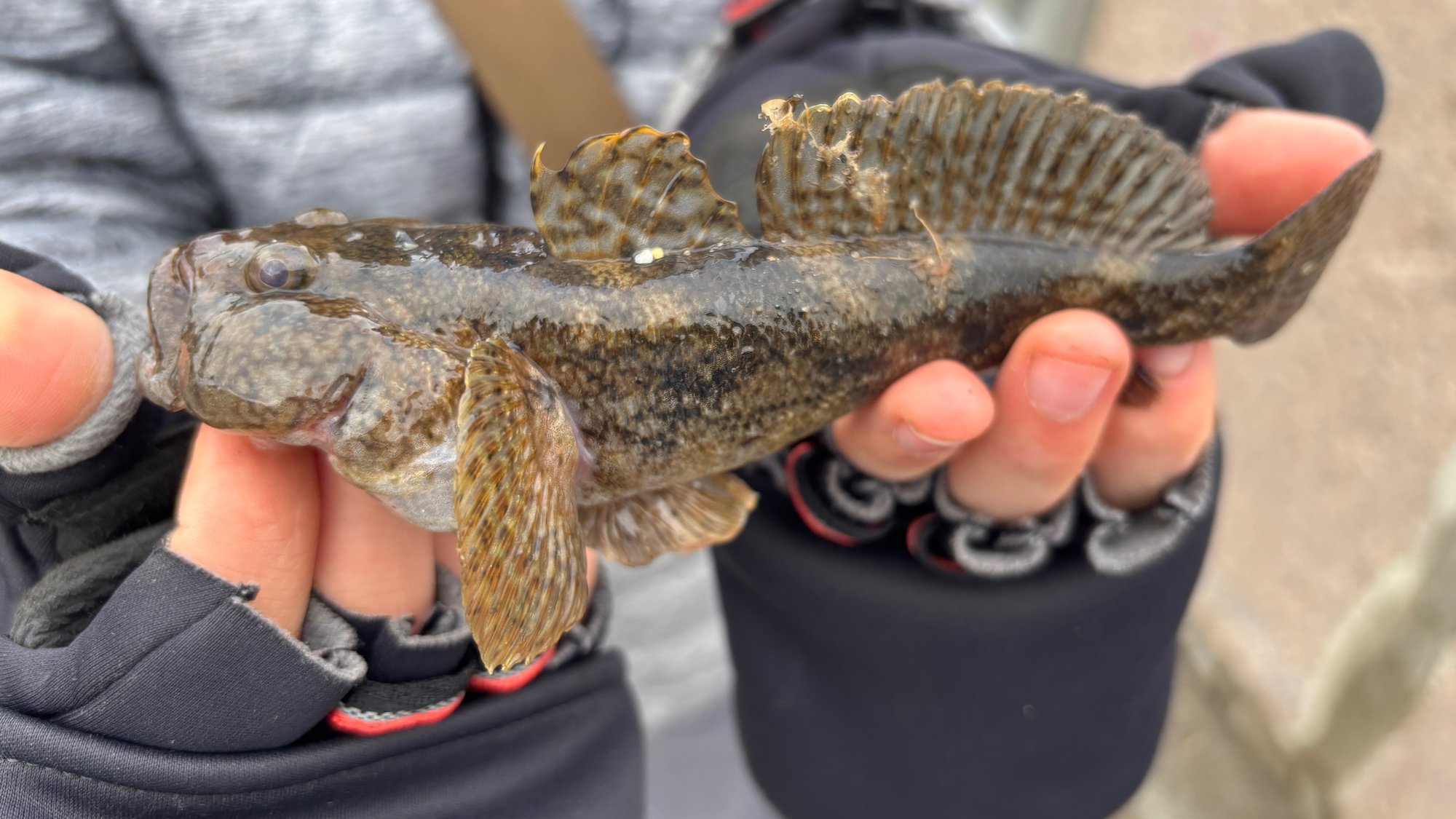 Рыбалка у Кремля. Тандемы 2025