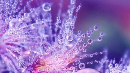 НОЯБРЬ--БЛИЗНЕЦЫ--таро