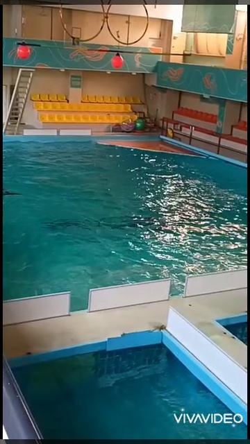 знакомство