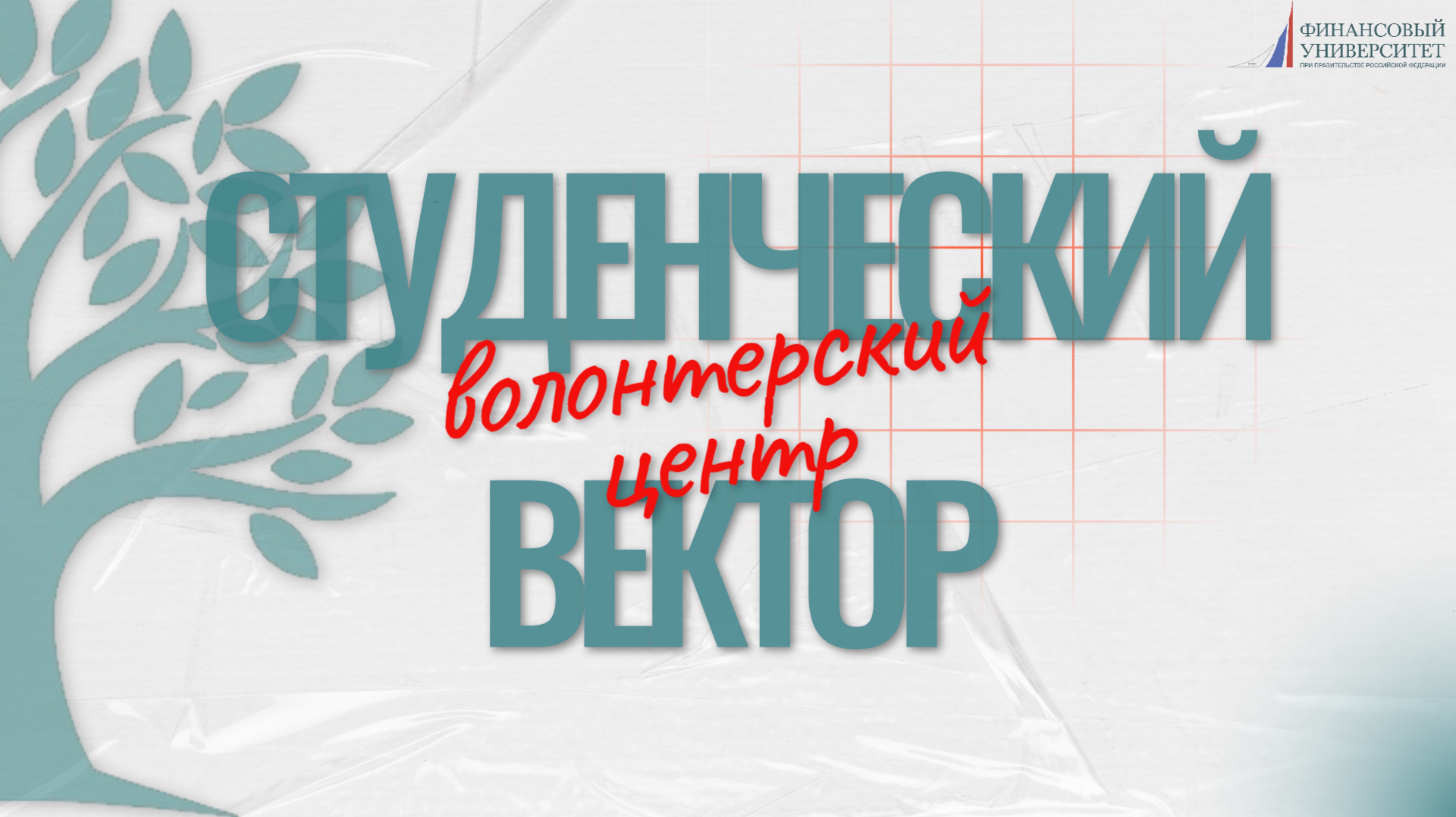 Студенческий вектор | Волонтерский центр