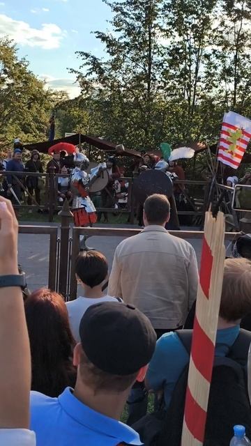 Рыцари с моргенштернами