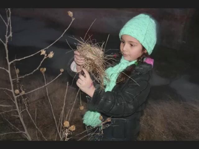 Анна Чочиты - Анна-Мария | Поют Осетины