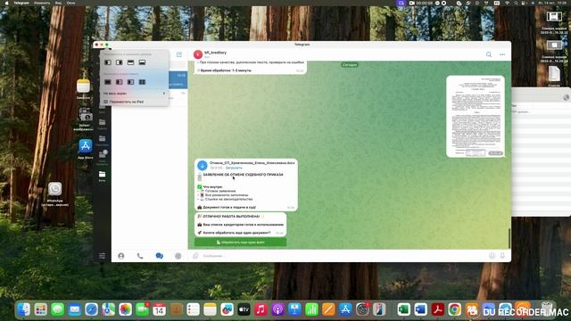 Как юристу быстро составить заявление на отмену судебного приказа?
