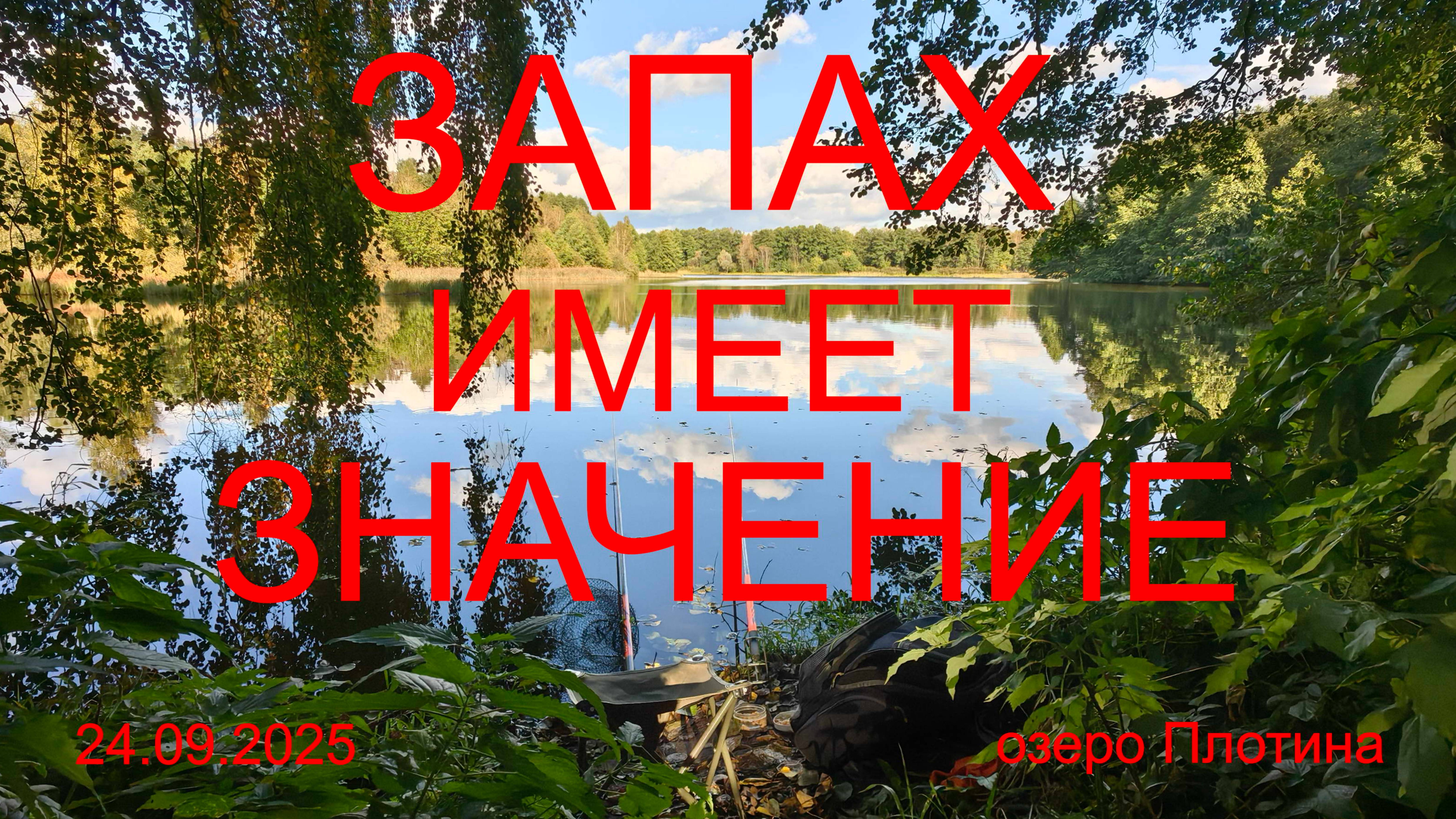 Запах имеет значение. Полная версия. 24.09.2025. Озеро Плотина.. Рыбалка в Подмосковье.