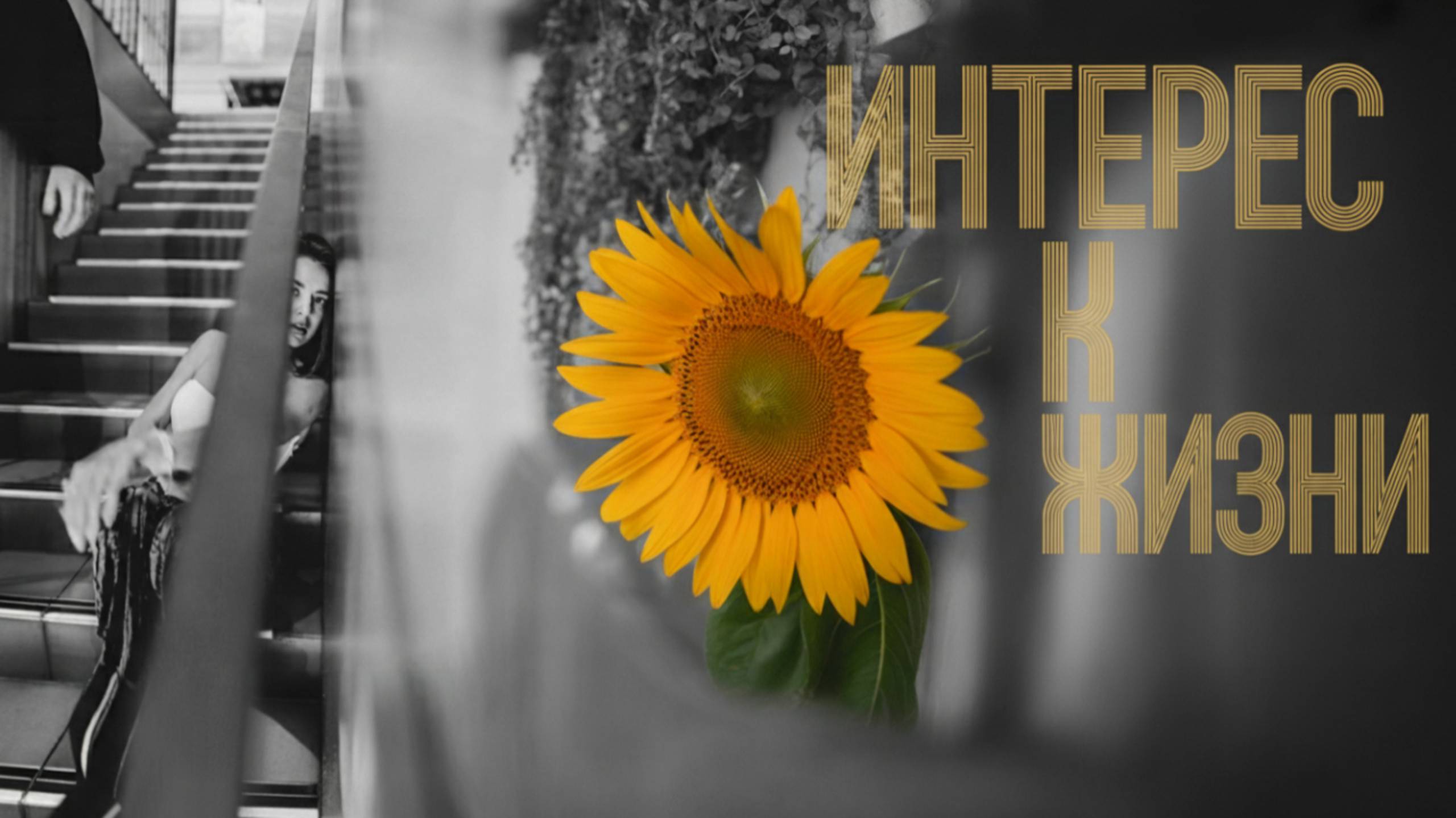 Эфир капсула "Интерес к жизни"