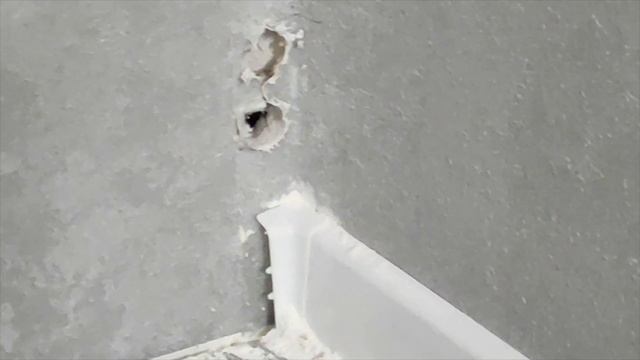 Болею, но отопление потихоньку делаю. Новые саженцы