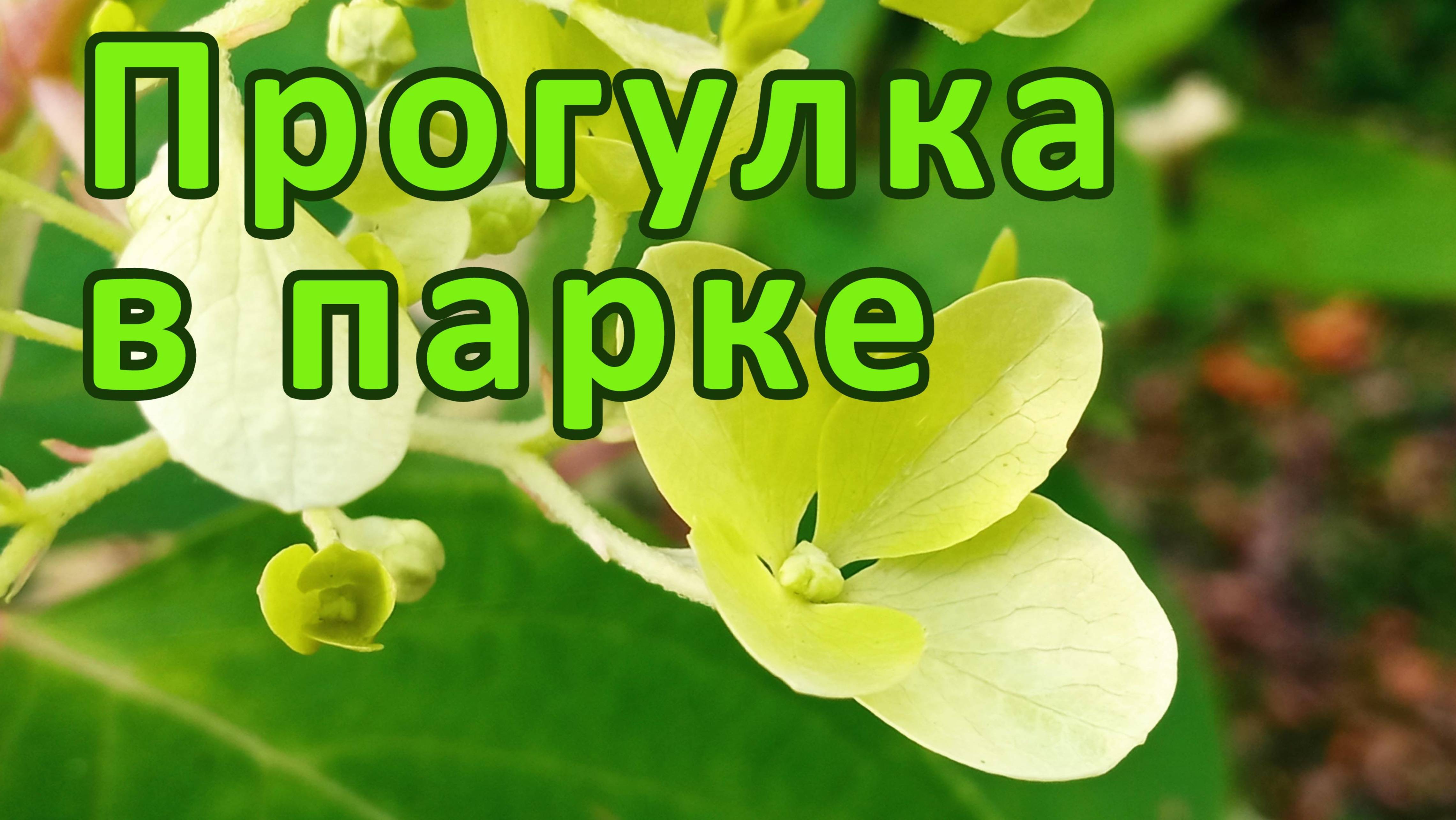 Прогулка в парке.