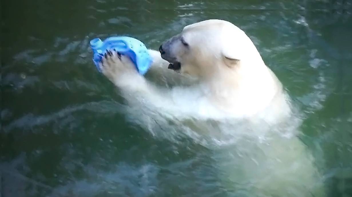 Медвежата Белка и Стрелка. Веселые прыжки с боковой лестницы и игра одновременно со всеми игрушками.