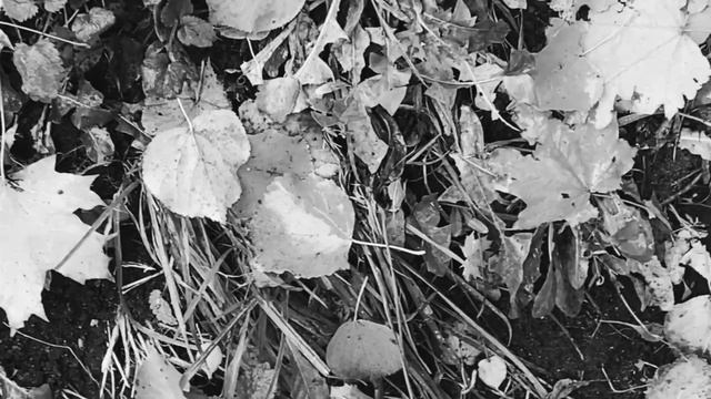 Разница потенциалов - 2 высота