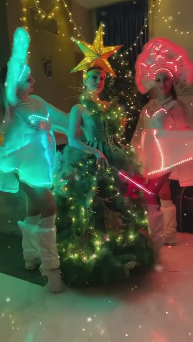 Живая новогодняя елка на встречу гостей