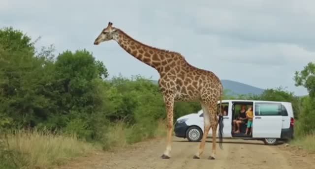 ... Замбия - Что мы знаем об этой стране....