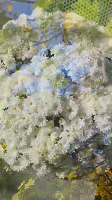 Прогулка с темой семинара Марины Колесник "Параллельные миры и гномы, эльфы, ангелы а нашей жизни"!