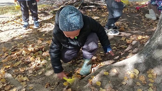 Осенние прогулки (воспитатель Трушова Г.М.)