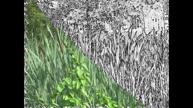 Вальс листопада дуэт стихи Любовь Нестерова исп фото видео Татьяна Талызина исп муз Виктор Воронцов