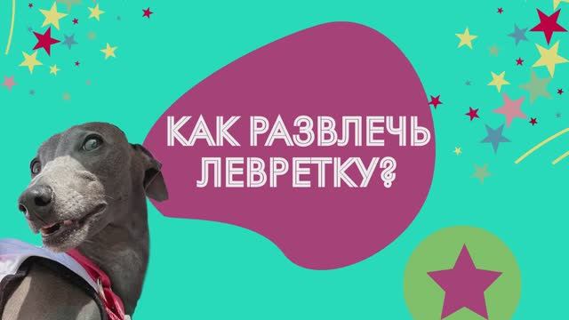 ЛЕВРЕТКА ДЕТЕКТИВ.