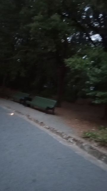 Крым 2025 год. Алупка. Воронцовский парк.