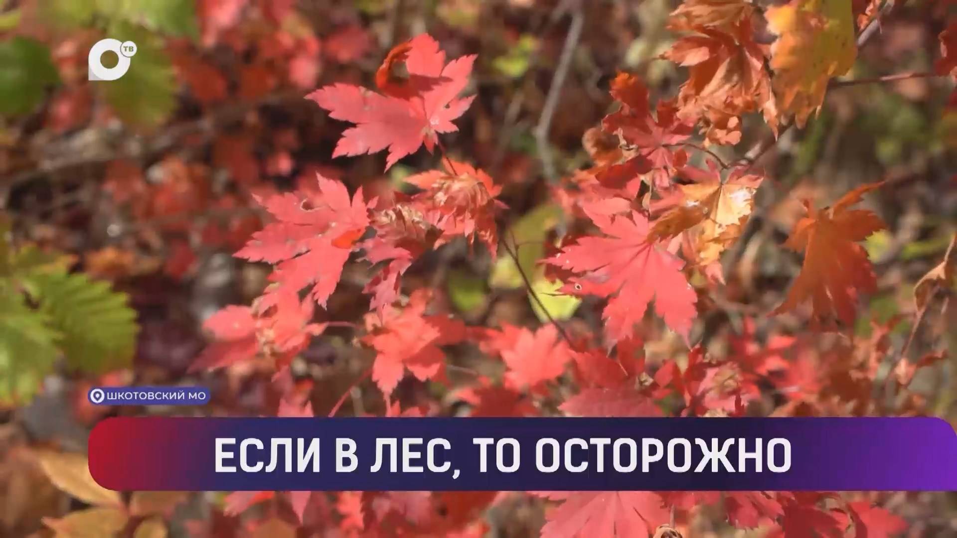 Выводы / Чтобы не допустить пожаров /  Поток трудовых мигрантов / 18.10.25