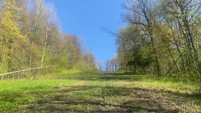 куаутлитеотлЬ - Springmusic