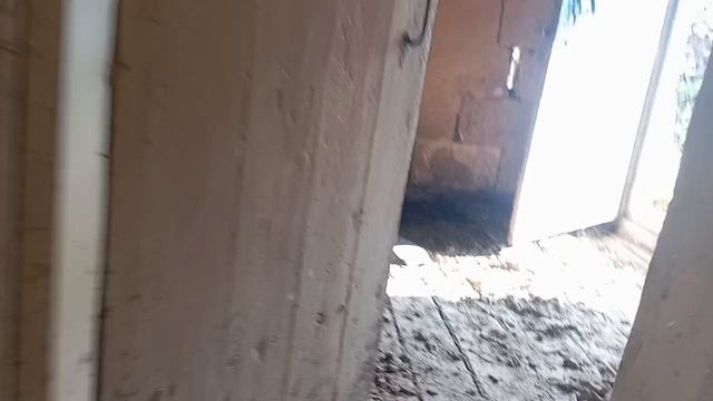 дом с призракоми