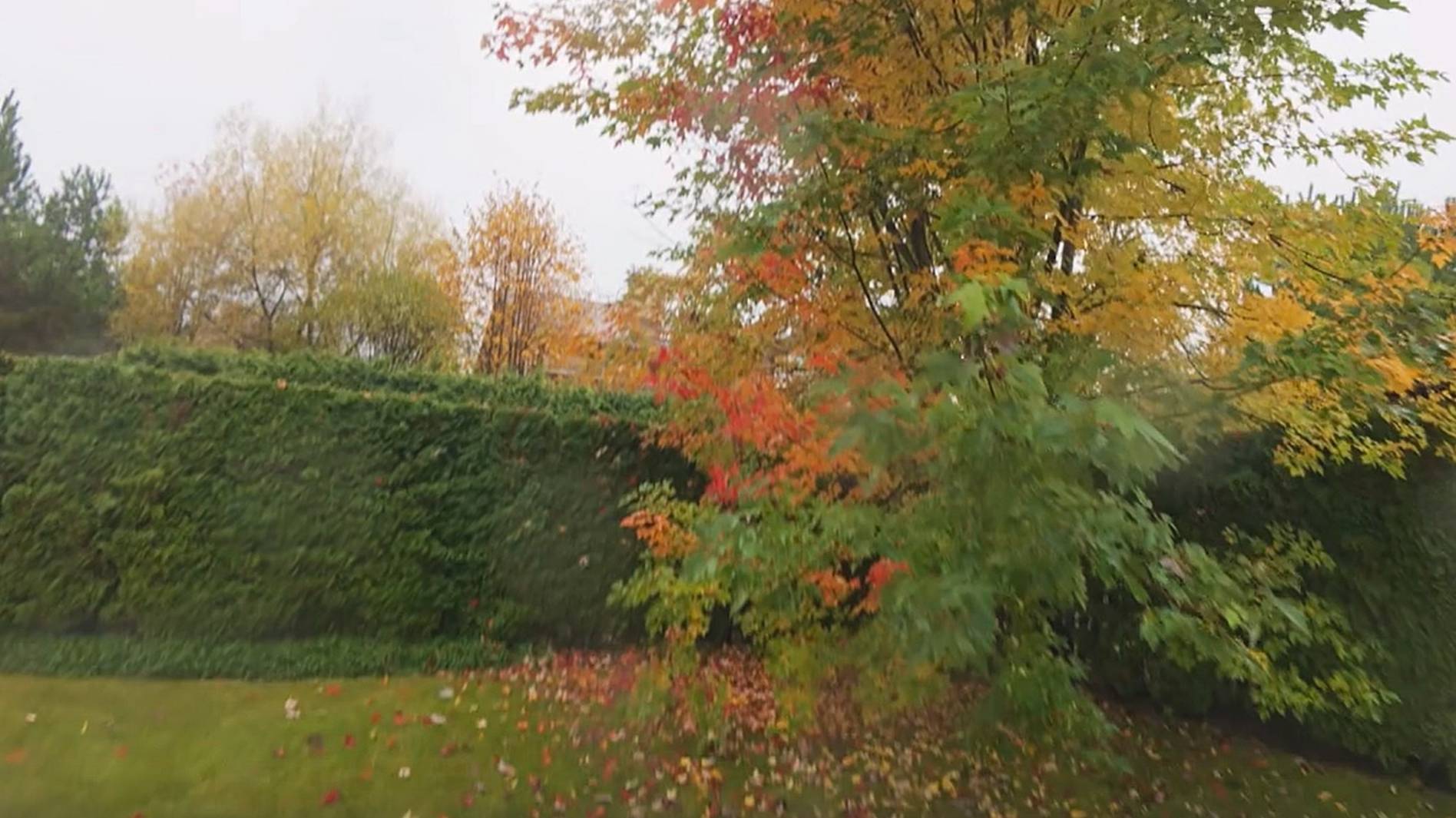 Золотая ОСЕНЬ - релакс