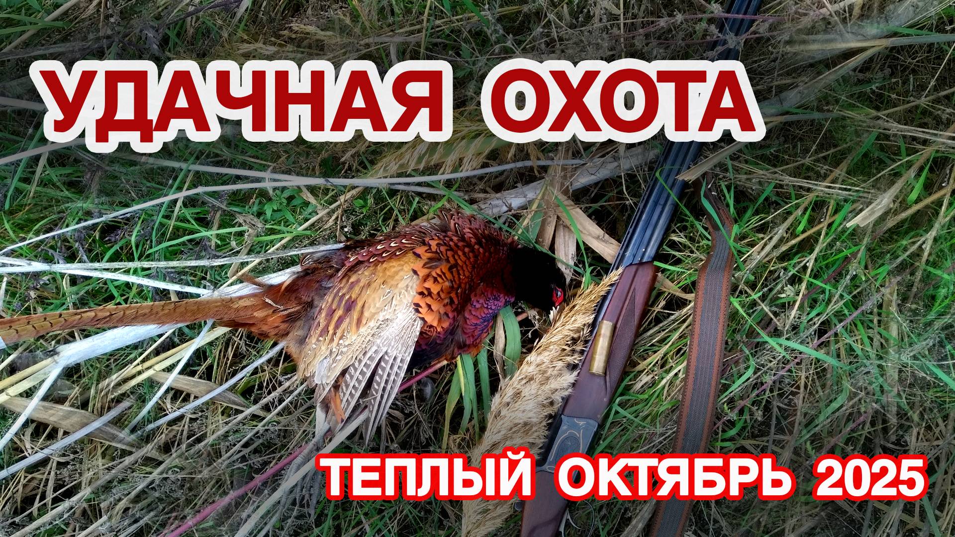 УДАЧНАЯ ОХОТА