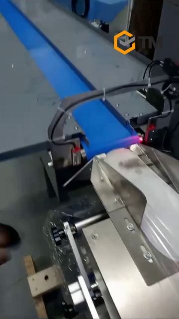 Горизонтальная упаковочная машина  DXDZ-250XD с сервоприводом. Видео тестирование упаковки тапочек