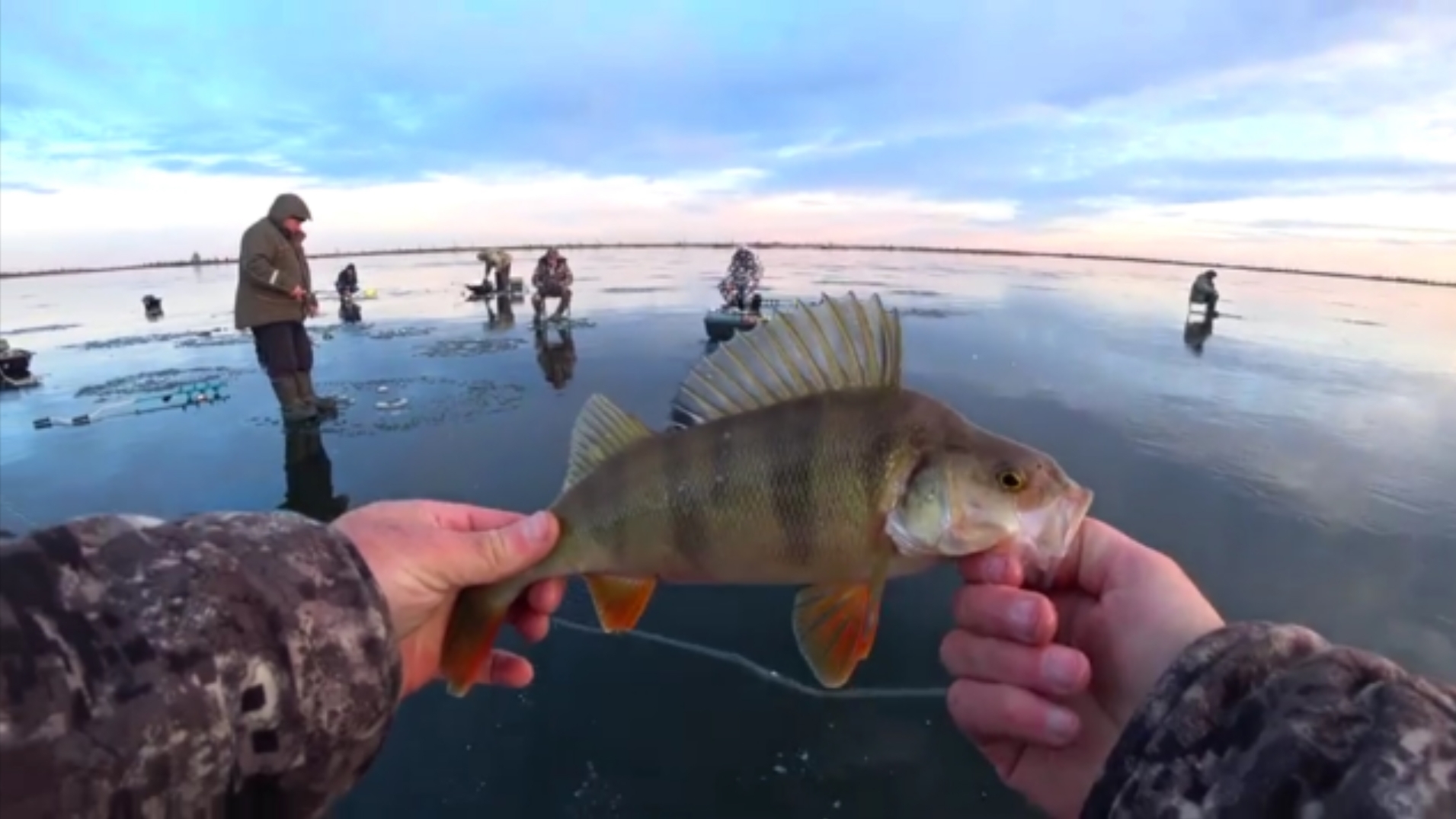 Первый лед 2025--2026 года ловим окуней на балансир и мормышку!!!