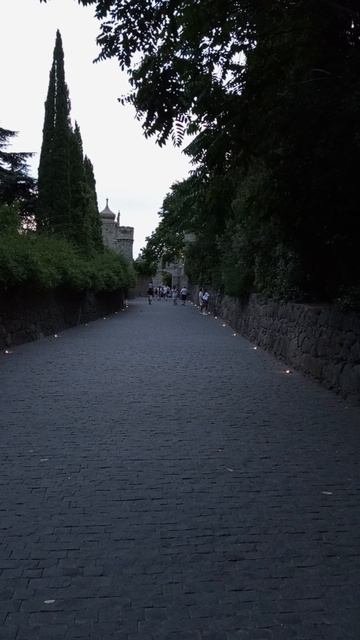 Крым 2025 год. Алупка. Воронцовский парк.