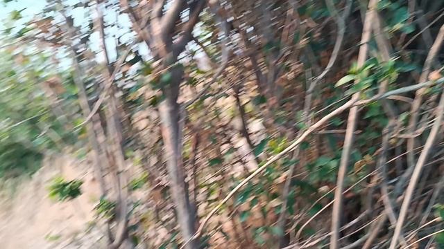 КЕМПИНГ КЕДР ЕЙСК ЗАКАТ