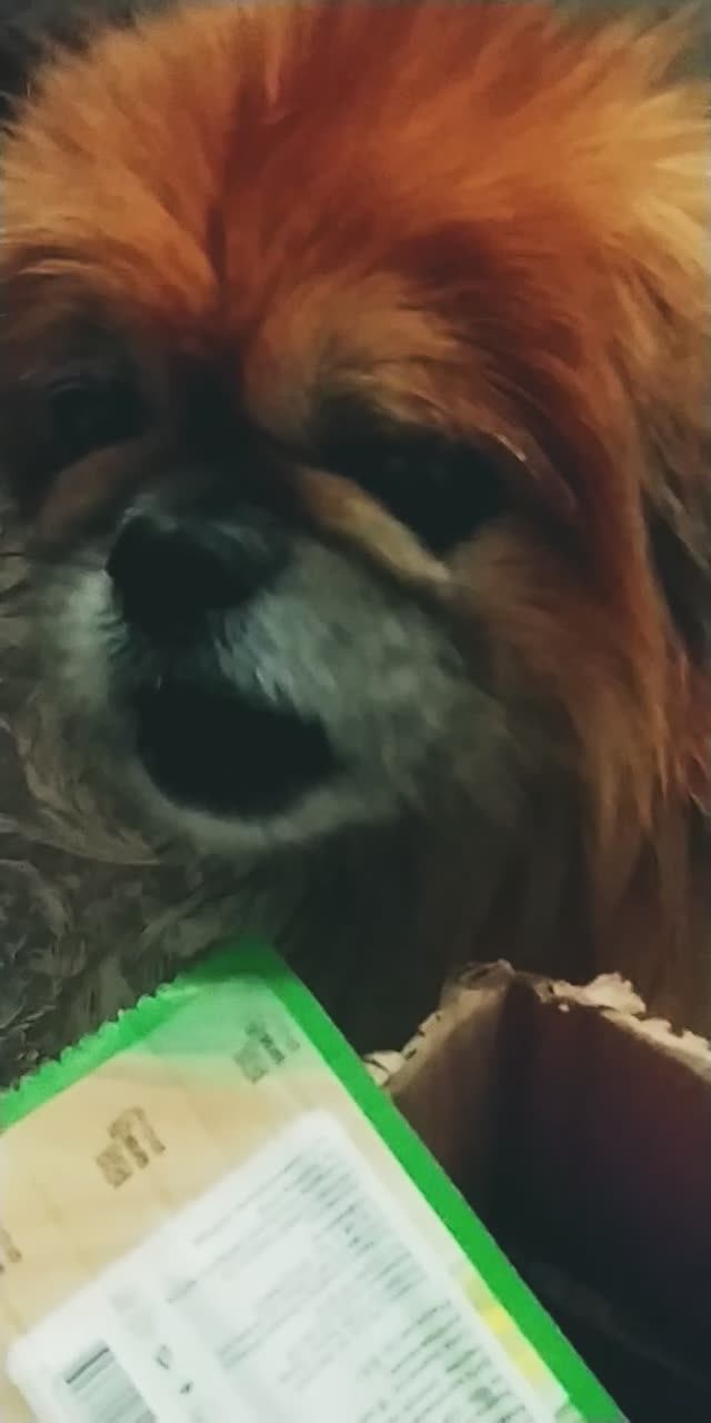 Домовитый Тоша- охраняет угощения.