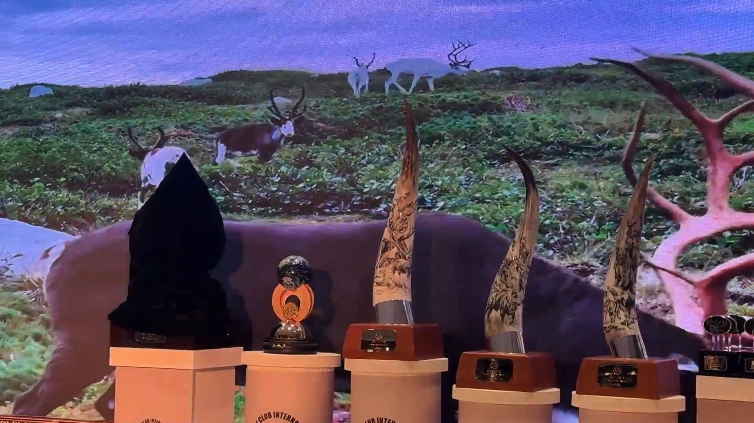 Катар: SCI mid-eastern chapter и Награда Сергея Ястржембского