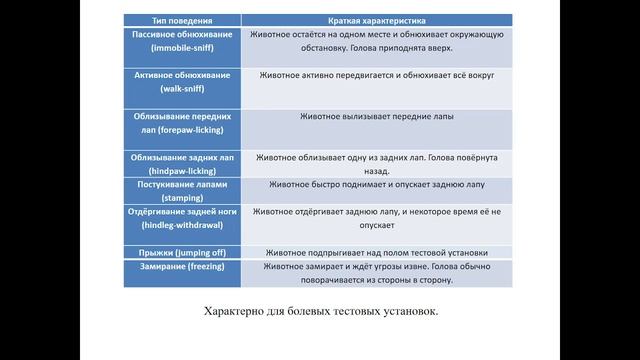 ЛК2 Основная часть 2