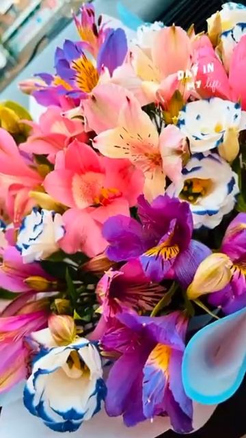 Тарходар, жизнь и творчество Города Солнца МаЭД в Днепре. Дарья Головань. Мир Универсологии