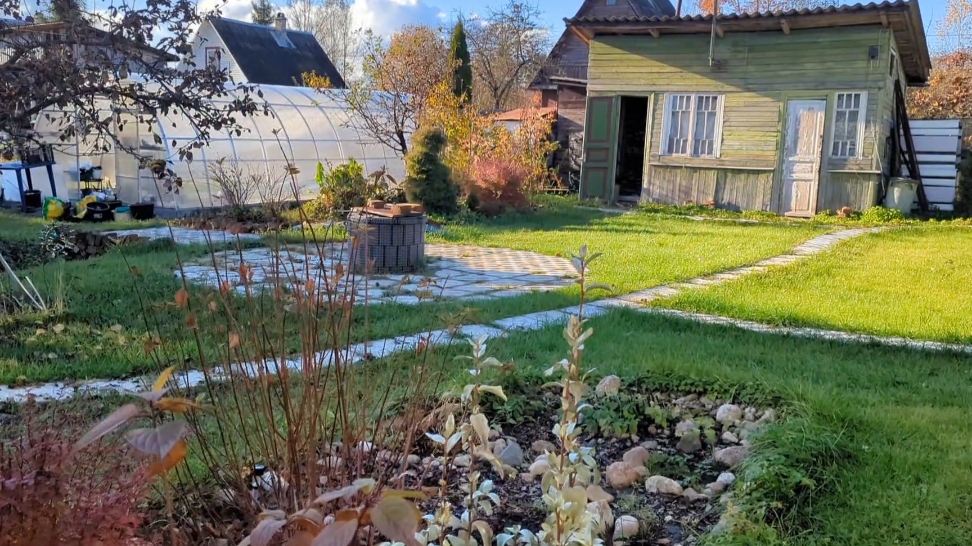 23-10-2025.Дача.Погодка солнечная как будто  и не было мороза.