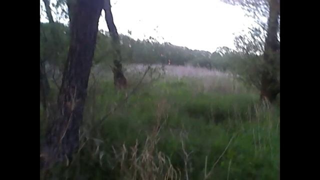 Аномальная зона или что это?