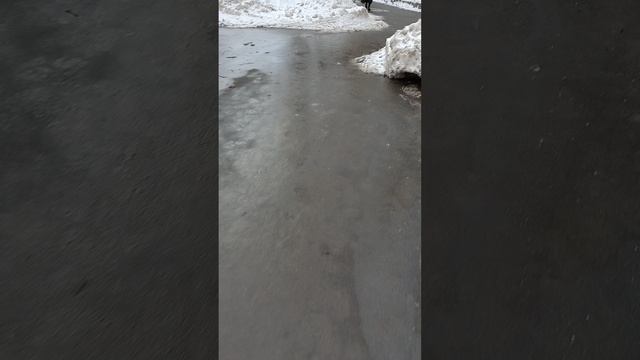 №94. ул. Сибирская. 13 февраля 2025 г., 17:07:01. VID_20250213_170118629