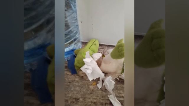 СКУЛБОЙ В КВАРТИРЕ! ВЕРНУЛИСЬ В ГОРОД! (1 КОНЦОВКА)