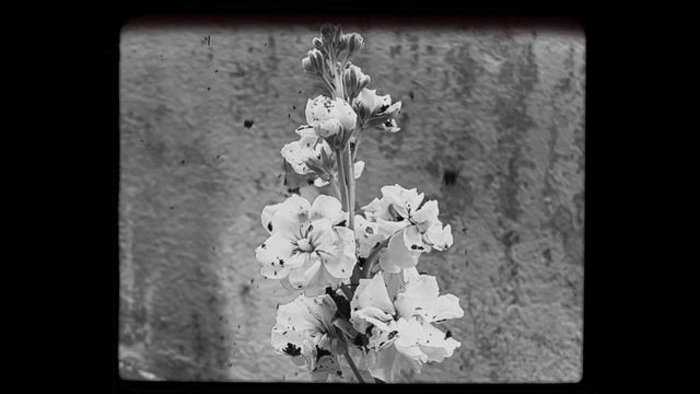 "Путь" вторая высота